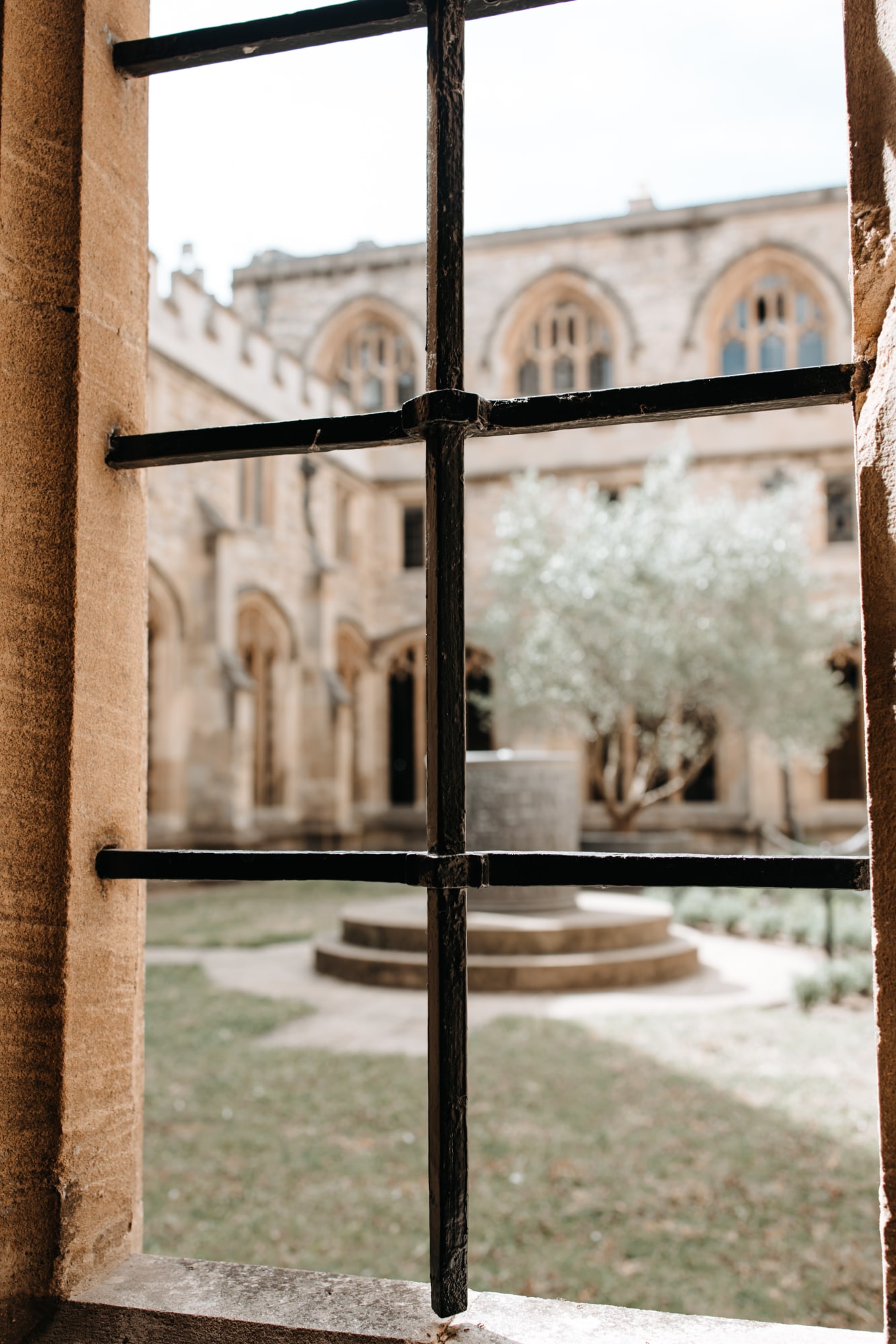 Mercy, Grace, and Human Frailty | Stephanie Staples