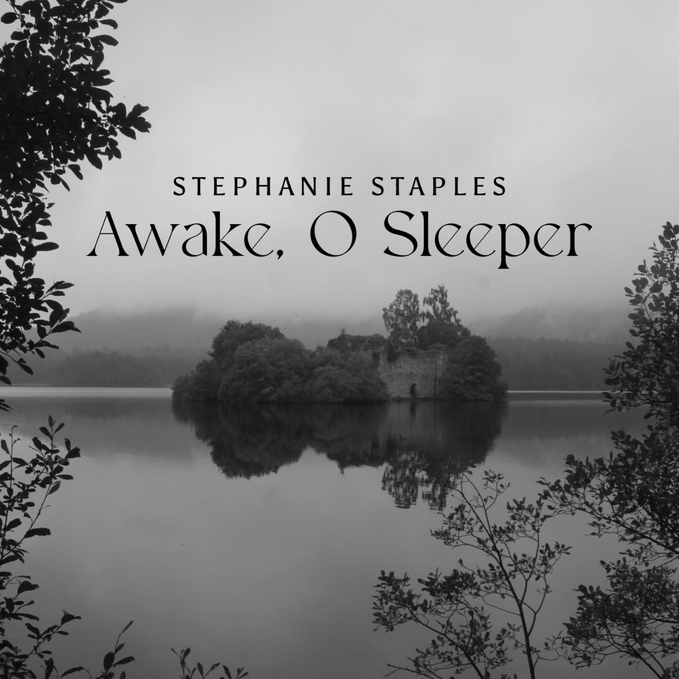 Awake, O Sleeper | Stephanie Staples